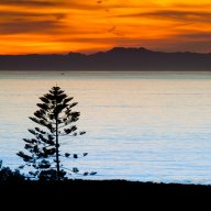 How do you use your NAS? | Focus on Photography Forum