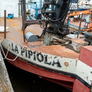 La Pipiola copy.jpg | Focus on Photography Forum